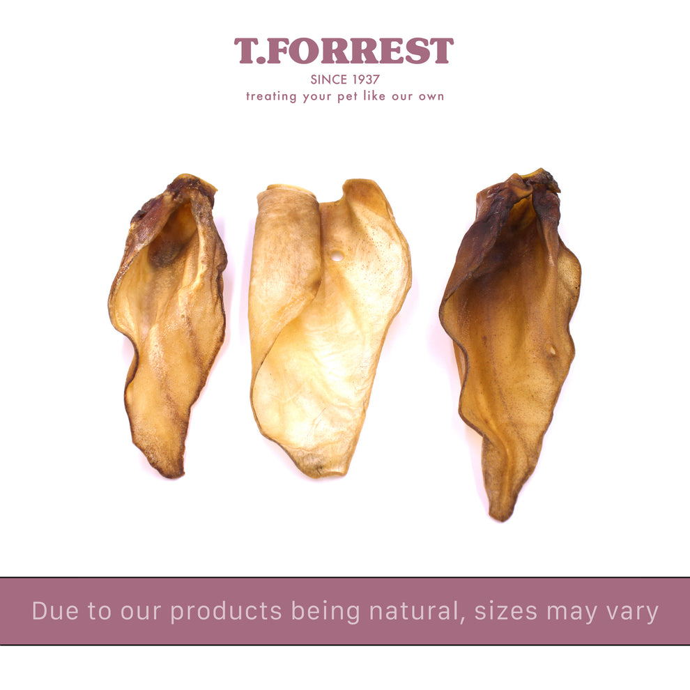 Large Buffalo Ear Dog Treats at Trade Prices – T Forrest Trade