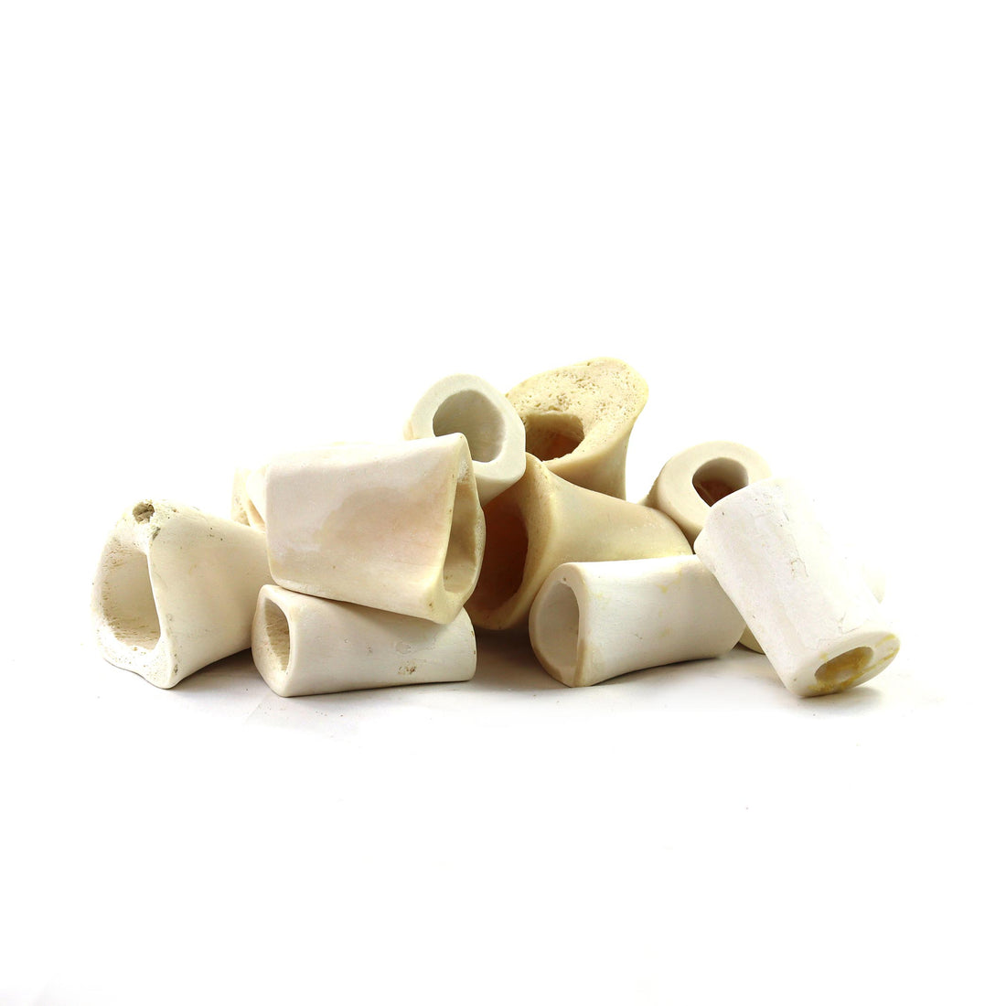 Hollow Calcium Bone | Bulk & Retail Boxes | 100% Natural – T Forrest Trade